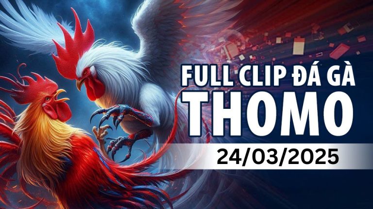 Xem Đá Gà 88 Thomo Trực Tiếp CPC1, CPC2, CPC3, CPC4